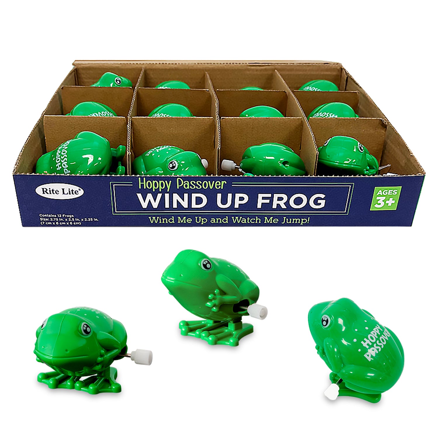 Passover Hoppy Frog Toytown – Toytown Toronto